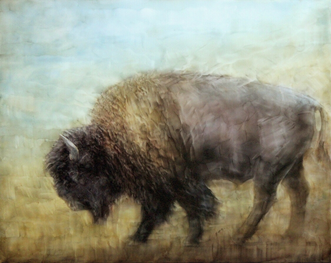 National Bison Range – brian sostrom